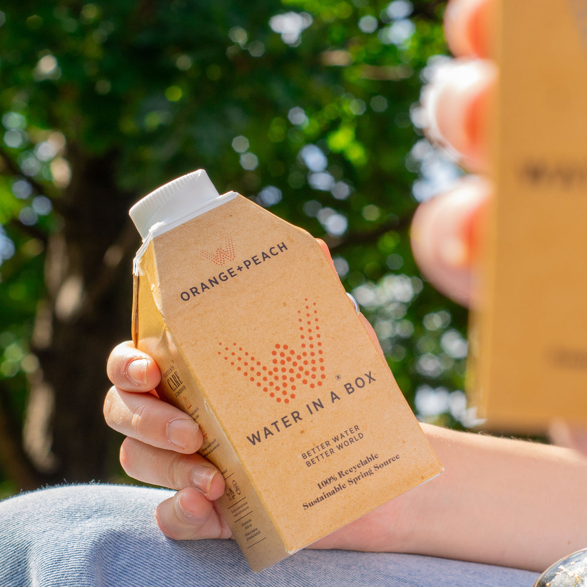 Water In A Box - 12 x 500ml bottles – Kingshill Mineral Water LTD