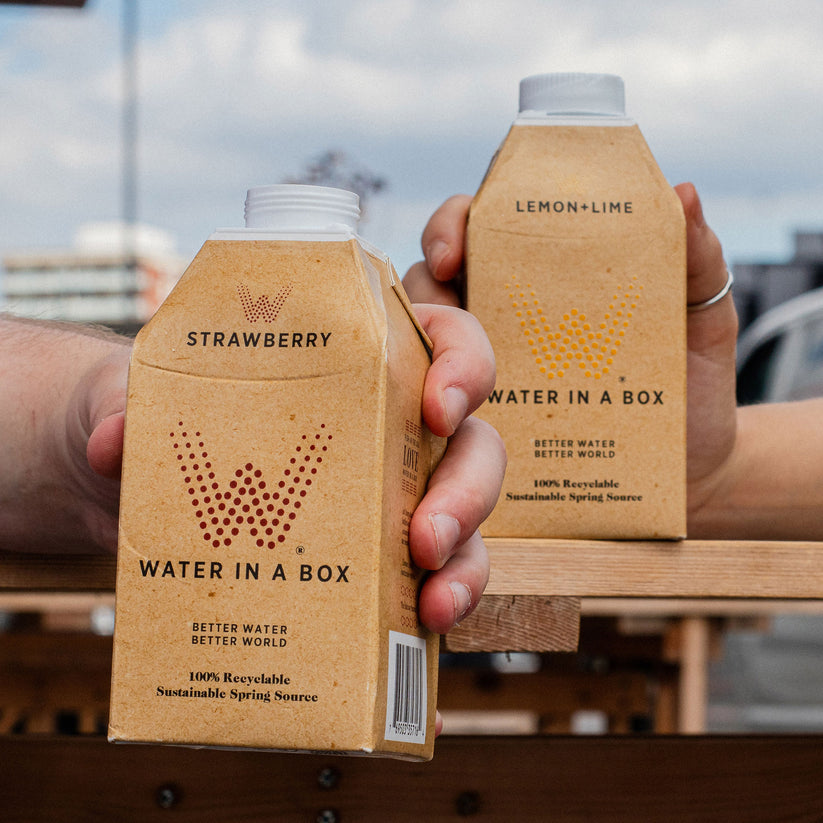 Water In A Box - 12 x 500ml bottles – Kingshill Mineral Water LTD